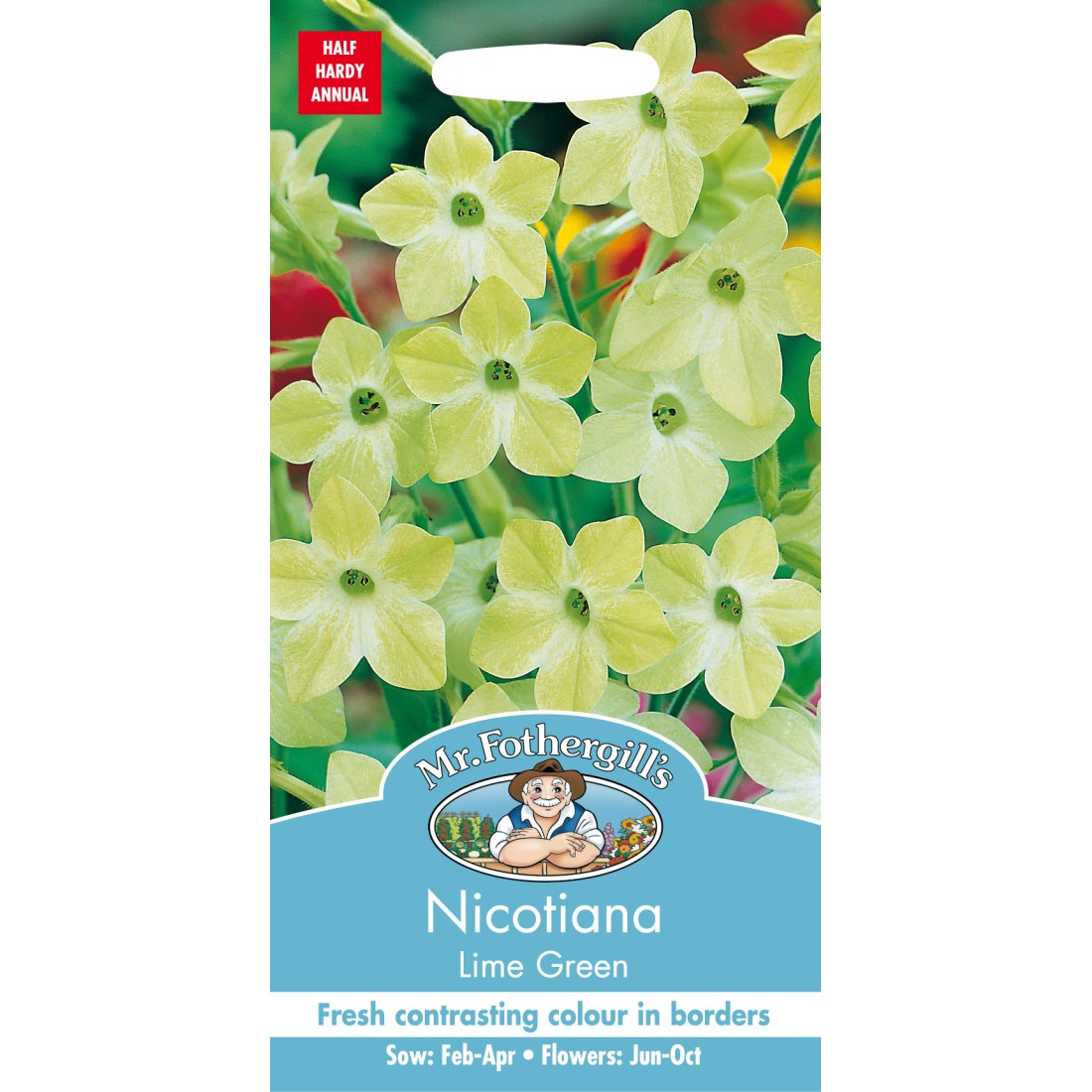 Seminte NICOTIANA sanderae Lime Green - Regina Noptii