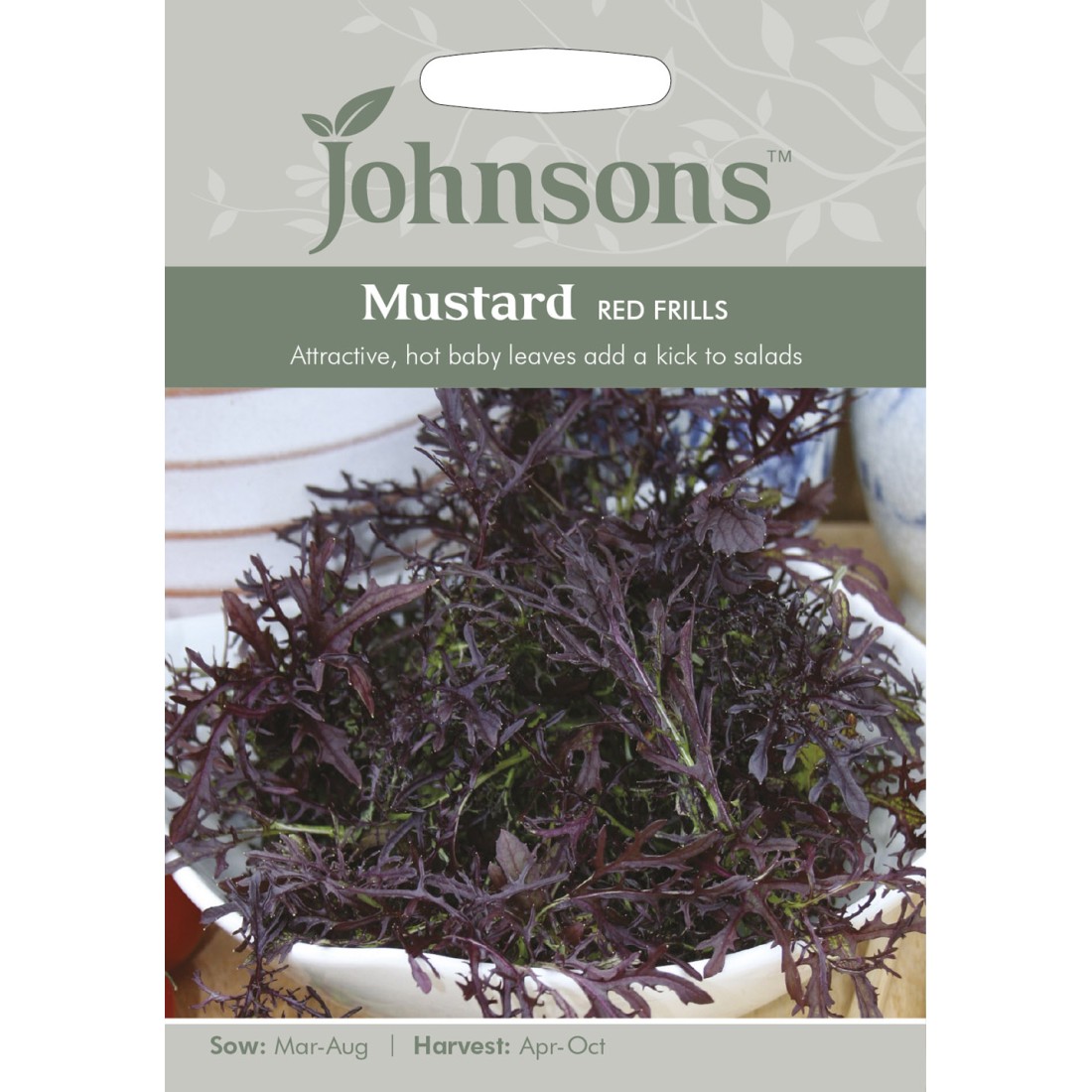 Seminte BRASSICA juncea Red Frills - Mustar asiatic, cu frunze rosii