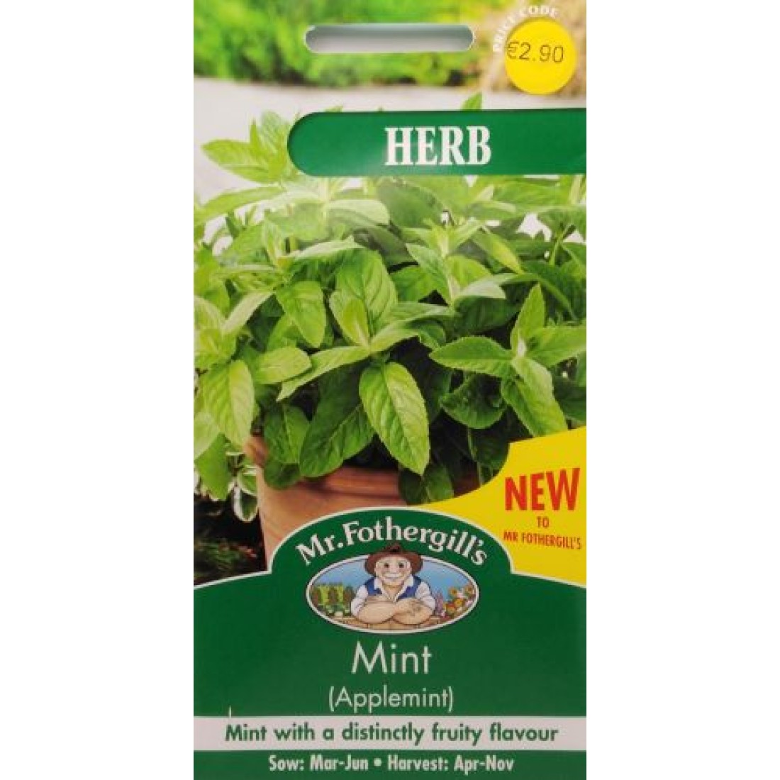 Seminte MENTHA-Mint- suaveolens (Applemint)-Herb-Menta aroma de fructe